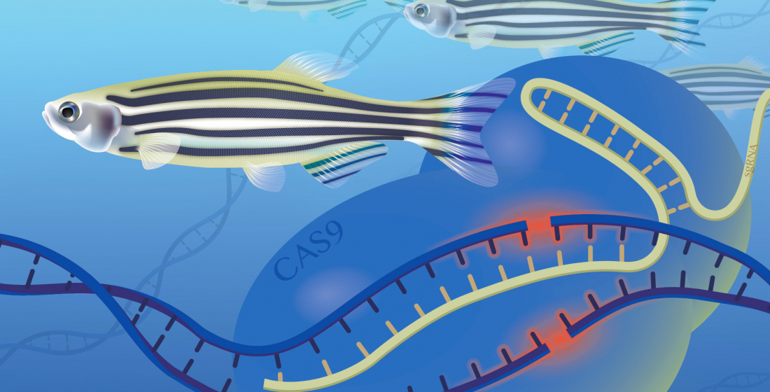 The Varshney lab is a part of Genes & Human Disease Research Program at ...